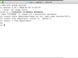Getting Started With Sqlite On Macos Mac Os X