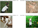 What Breed Is That Puppy Dog Breed Classification Using Convolutional