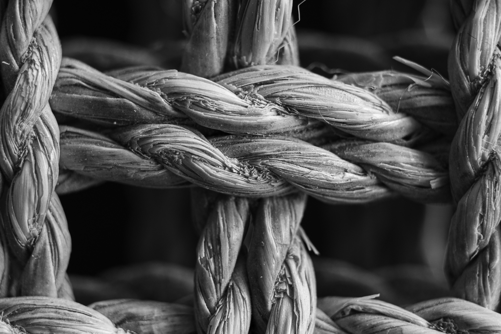 Textures and Patterns – Photography by Rodney Martin