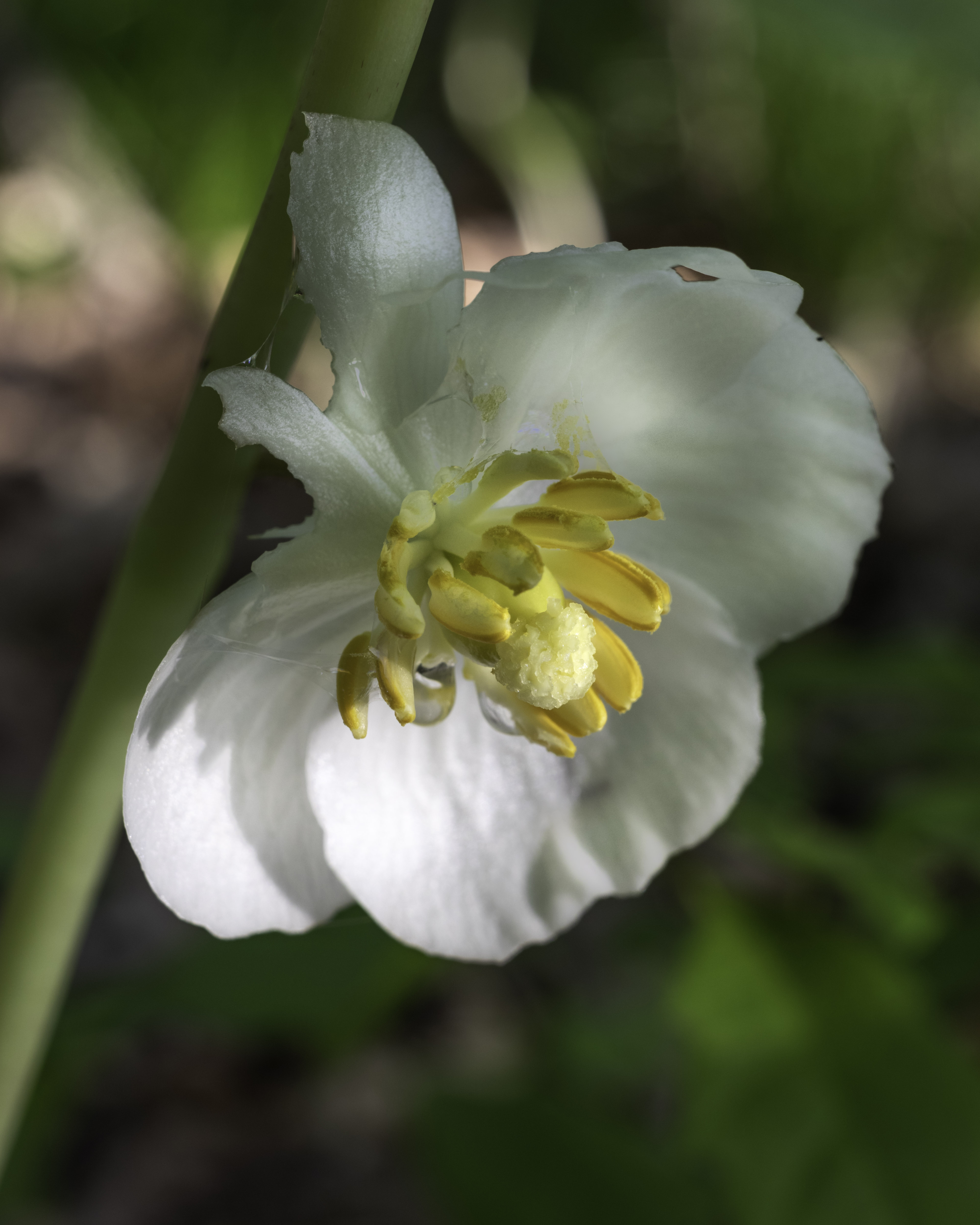 More shots from Seidman Park – Photography by Rodney Martin
