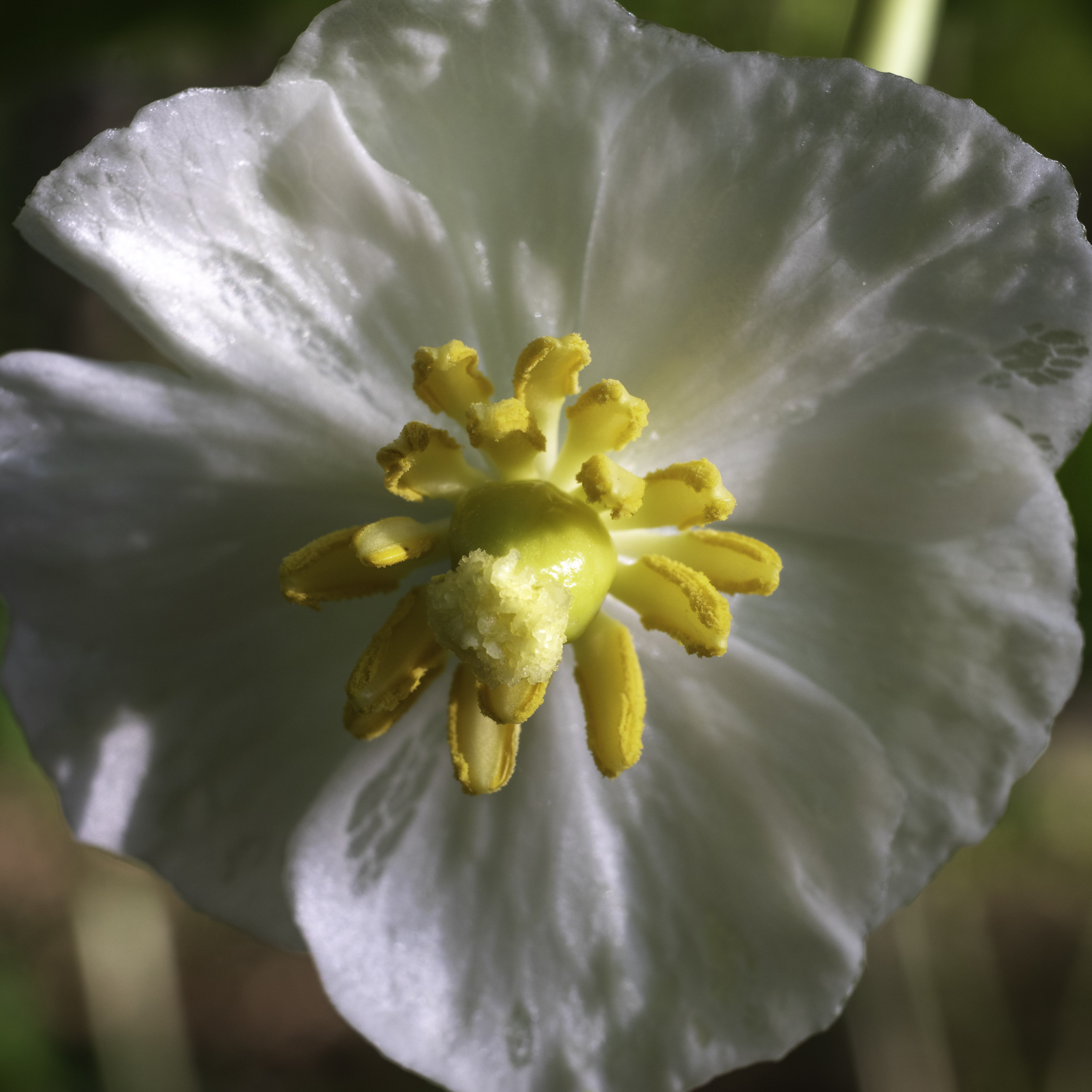 More shots from Seidman Park – Photography by Rodney Martin