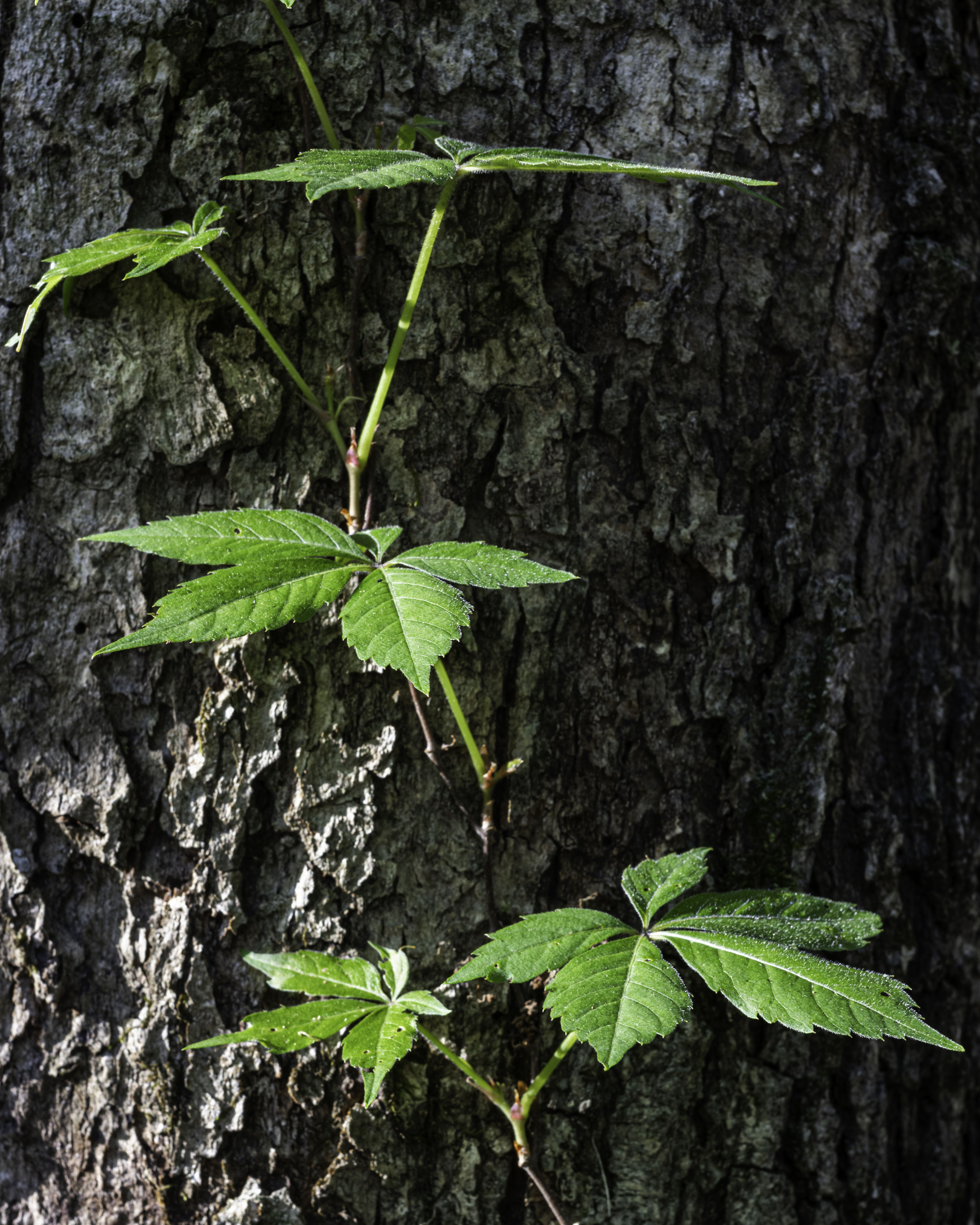 More shots from Seidman Park – Photography by Rodney Martin