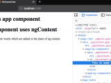 Angular Content Projection Using Ngcontent Directive Reactgo