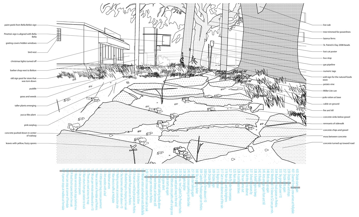 projects | Disturbed Sites . Junction