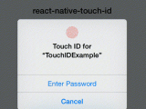 React Native Touch Id Component Reactscript
