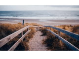 Steps Component For React Reactscript