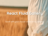 Fluid Media Gallery For React Reactscript
