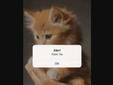 React Native Swipe Image Component Reactscript