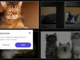 Beautiful Guided Tour Component For React Reactscript