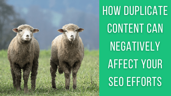 How Duplicate Content Can Negatively Affect Your SEO Efforts - The ...