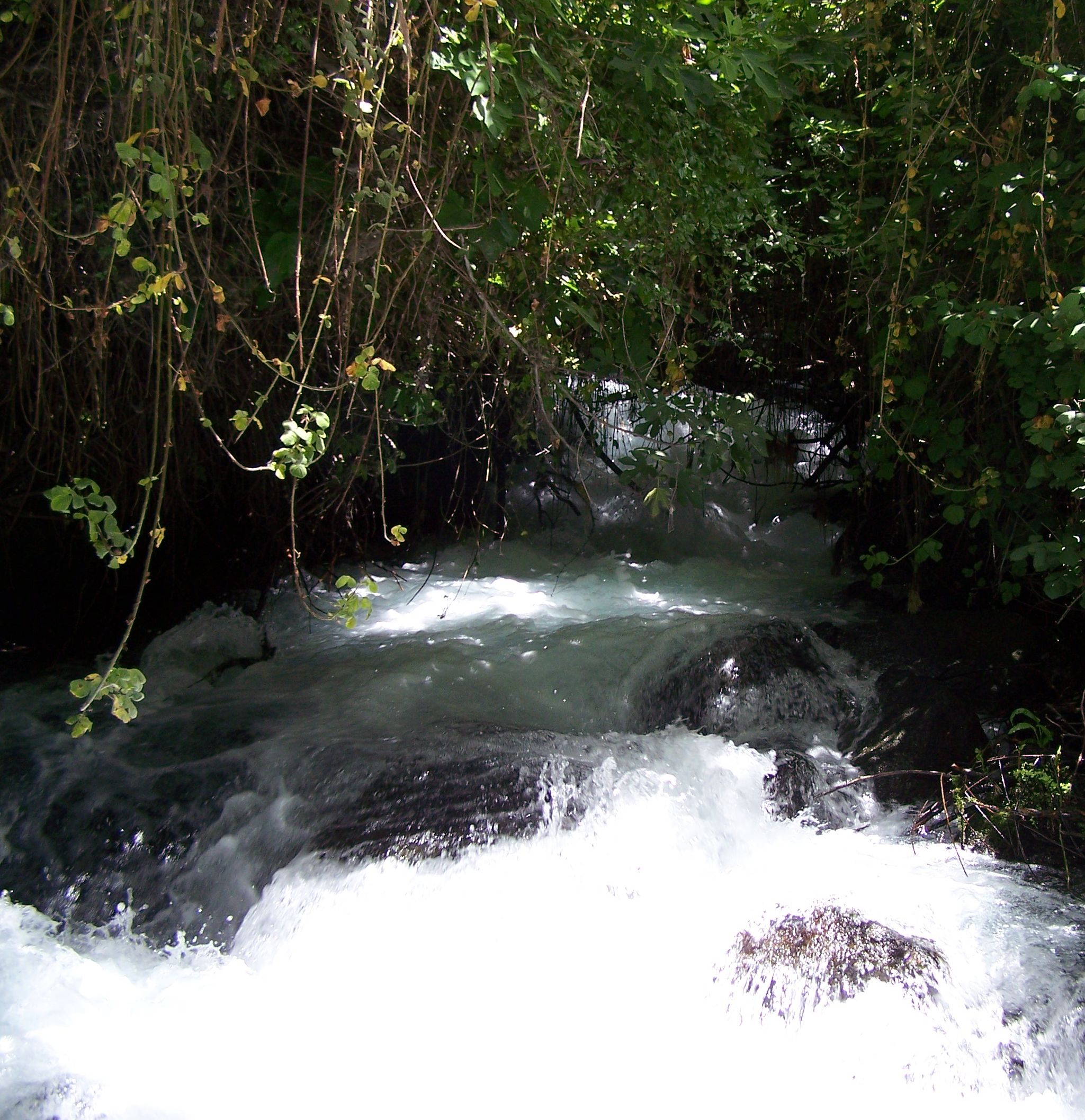 Psalm 42 - As the Deer - Reading Acts