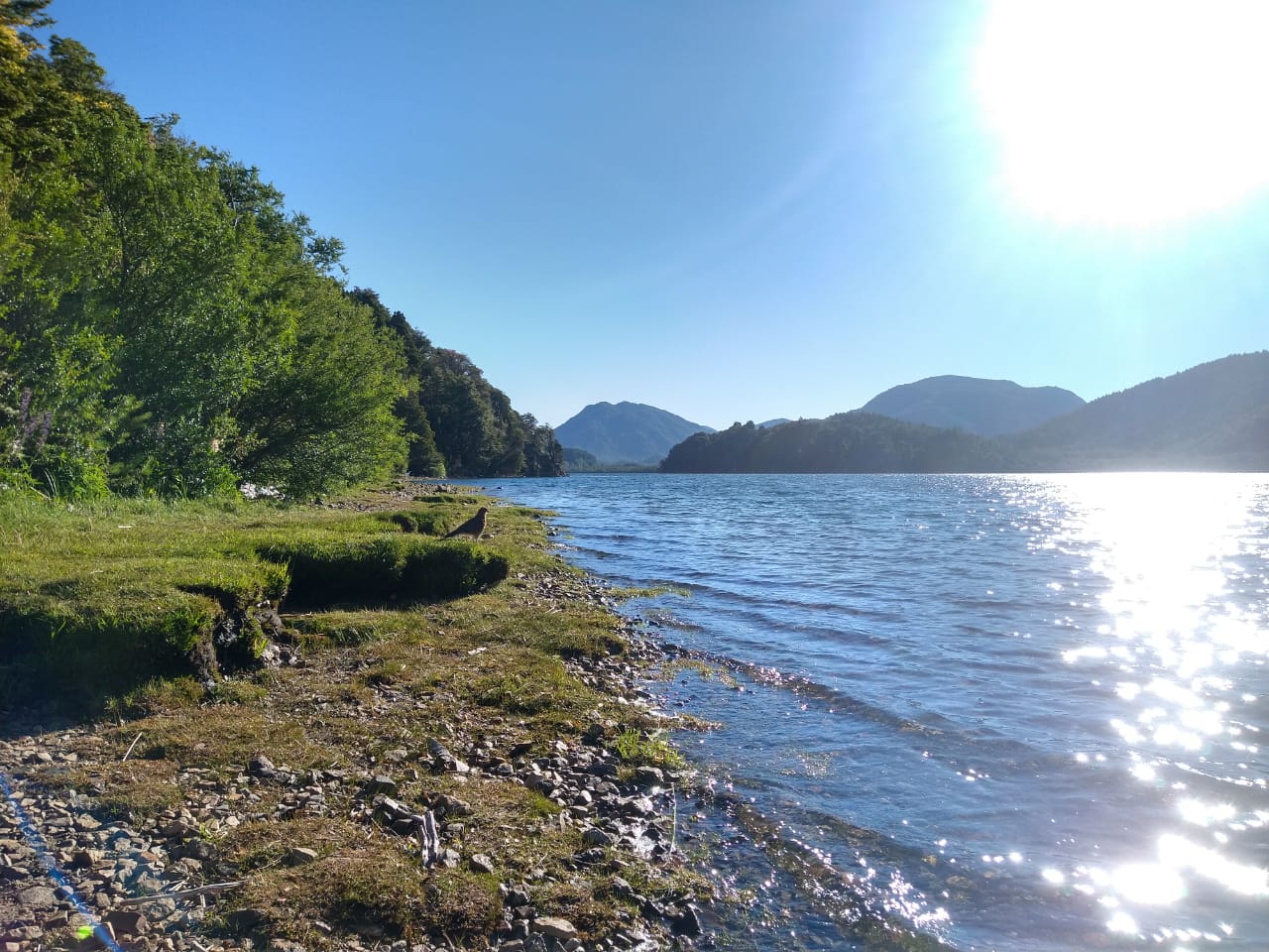 Lago Machónico, un paraíso escondido en la Ruta de los Siete Lagos