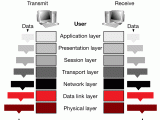 Osi Model Realitypod