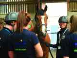 Hnd In Animal Management Equine Management Reaseheath Zoo