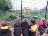 Conservation Reaseheath Zoo