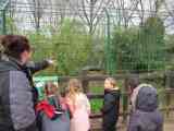 Schools Reaseheath Zoo