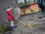 Discover And Explore Reaseheath Zoo