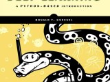Practical Deep Learning A Python Based Introduction Pdf