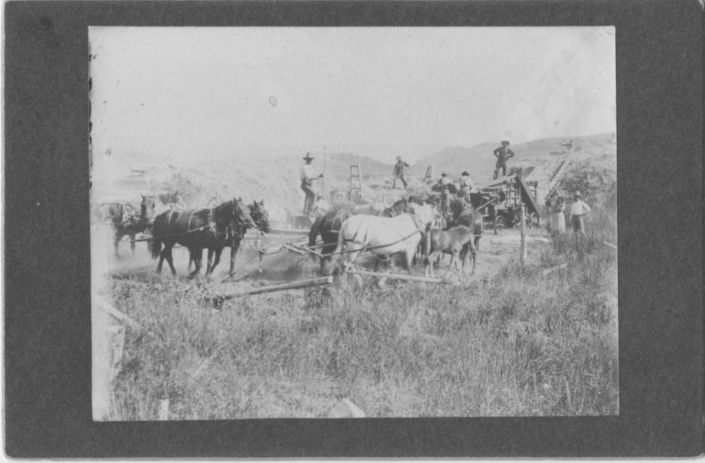 #TBT: Threshing Crew