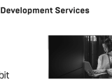 Web Development Services Reenbit