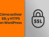 Cómo Activar Ssl Y Https En Wordpress