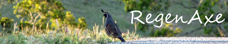 Bird Headers | RegenAxe