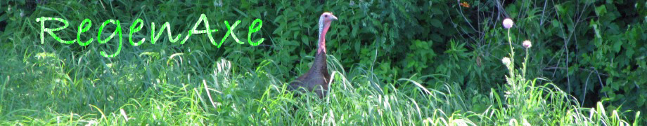 Bird Headers | RegenAxe