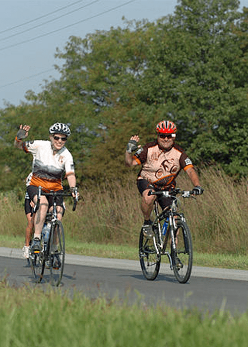 MS-150 Revisited | RegenAxe