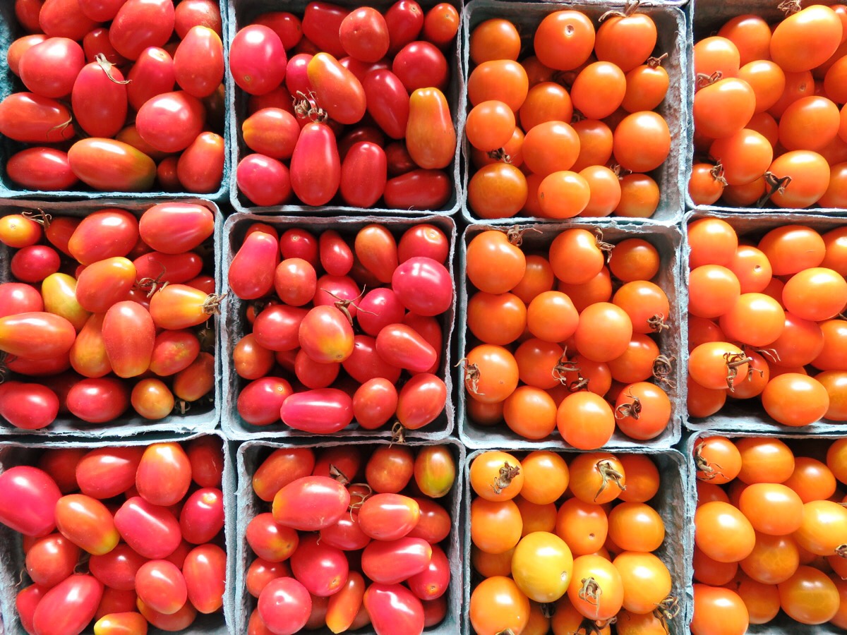 Cherry Tomatoes | RegenAxe