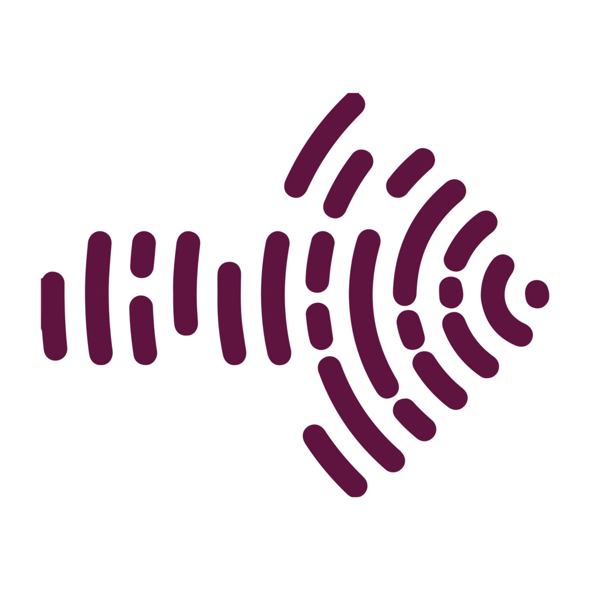 IdentityPass secures $360,000 Pre seed Funding to change digital ...