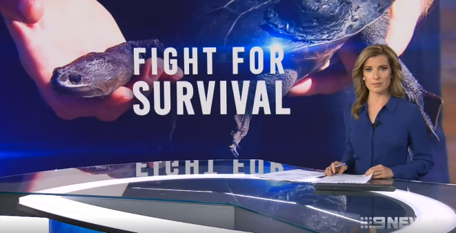 IN THE MEDIA – Rehabilitating Roe 8