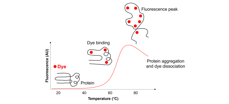 Github Grofte Nami Gui Based Python Program For Thermal Shift Assay - Premium Landscape Picture Gallery - 4K