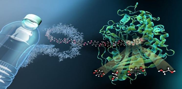 Scientists Find Plastic Eating Bacteria - Renewables Energy Sources