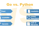 Python Vs Go What S The Difference Rent Indian Coders
