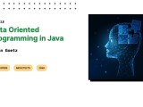 Data Oriented Programming In Java Infoq