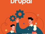 Best Drupal Development Services In India Resource Bazaar