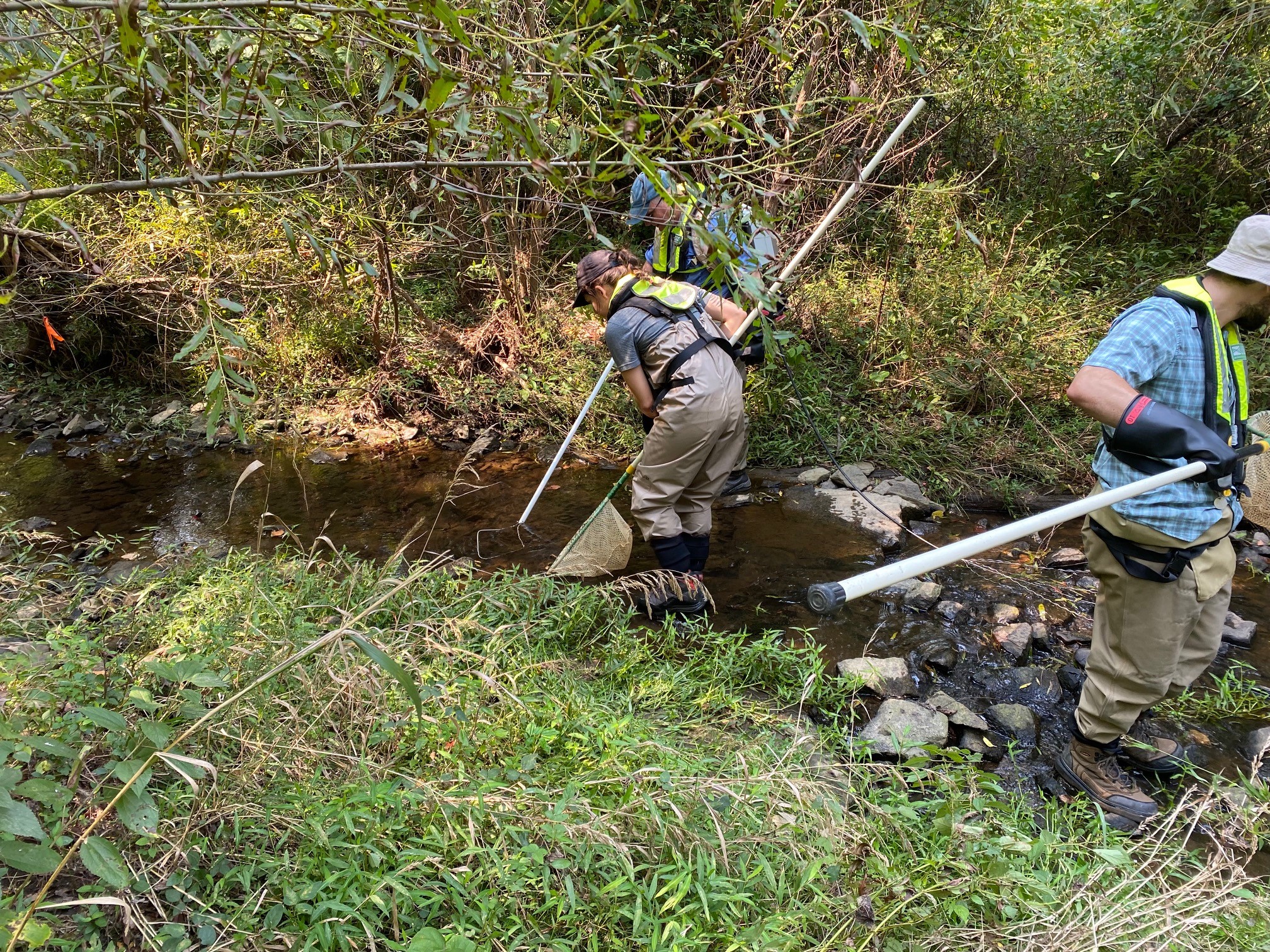 Stream Monitoring | Resource Protection Group, Inc.