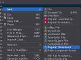 Angular Intellij Idea