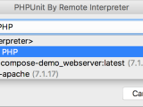 Phpunit Phpstorm Documentation