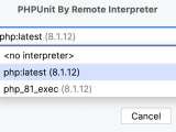 Phpunit Phpstorm Documentation