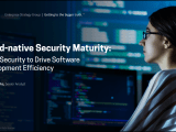 Cloud Native Security Maturity Using Security To Drive Software