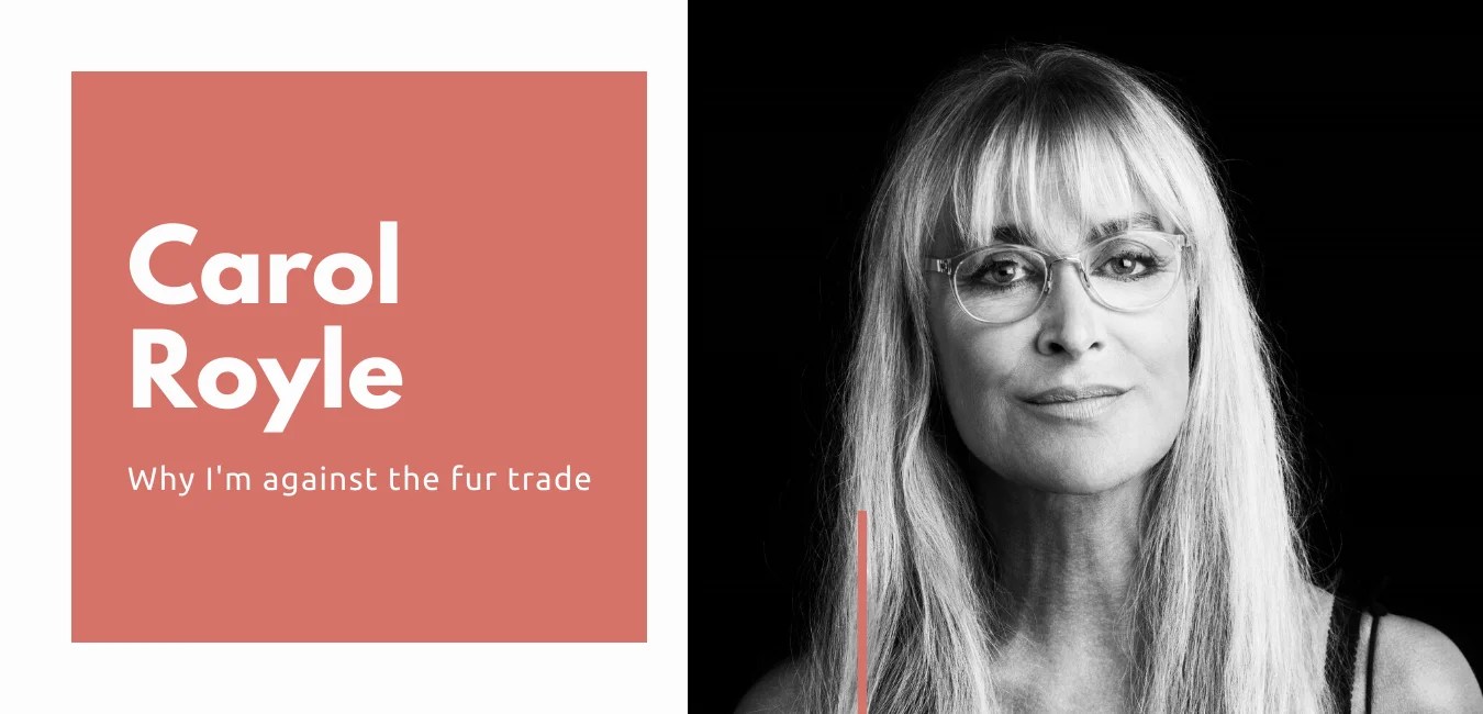 Actress Carol Royle’s Blog Spot | Respect for Animals