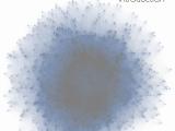 Processing Generative Design Tutorials Responsive Design Studio