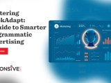 Mastering Stackadapt A Guide To Smarter Programmatic Advertising