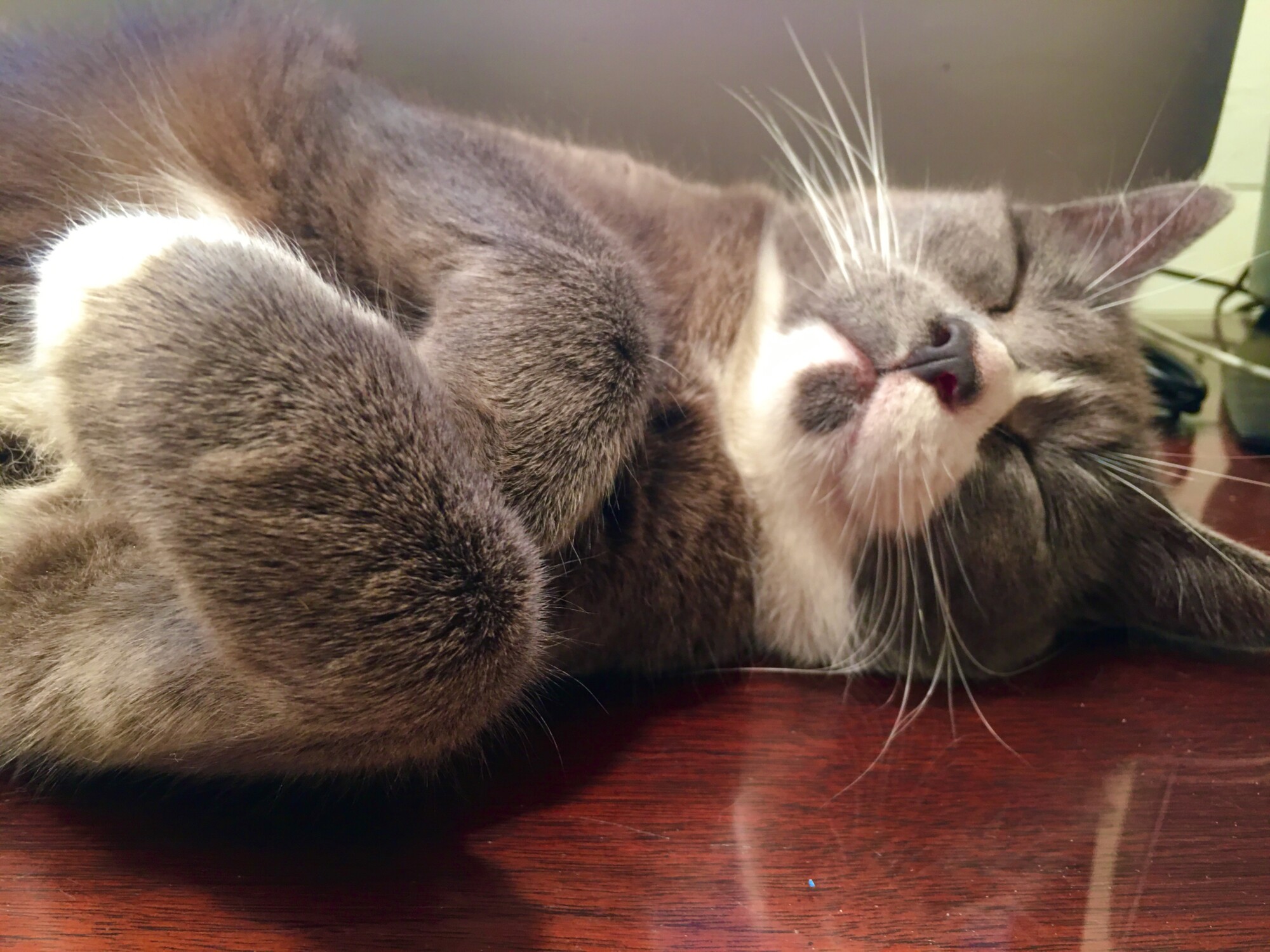 Gray – Restoring Ross