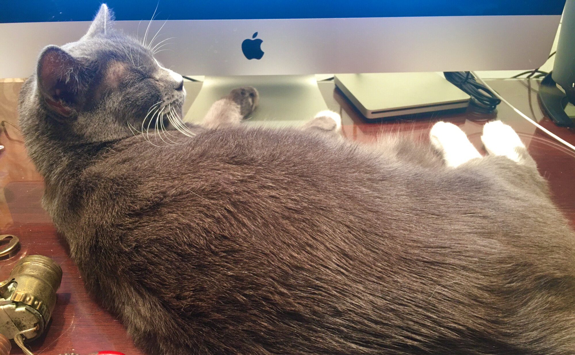 Gray. The Return. – Restoring Ross