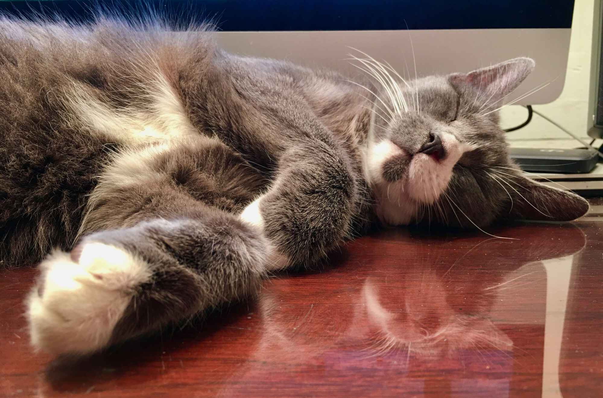 Gray has just had it with the week… – Restoring Ross