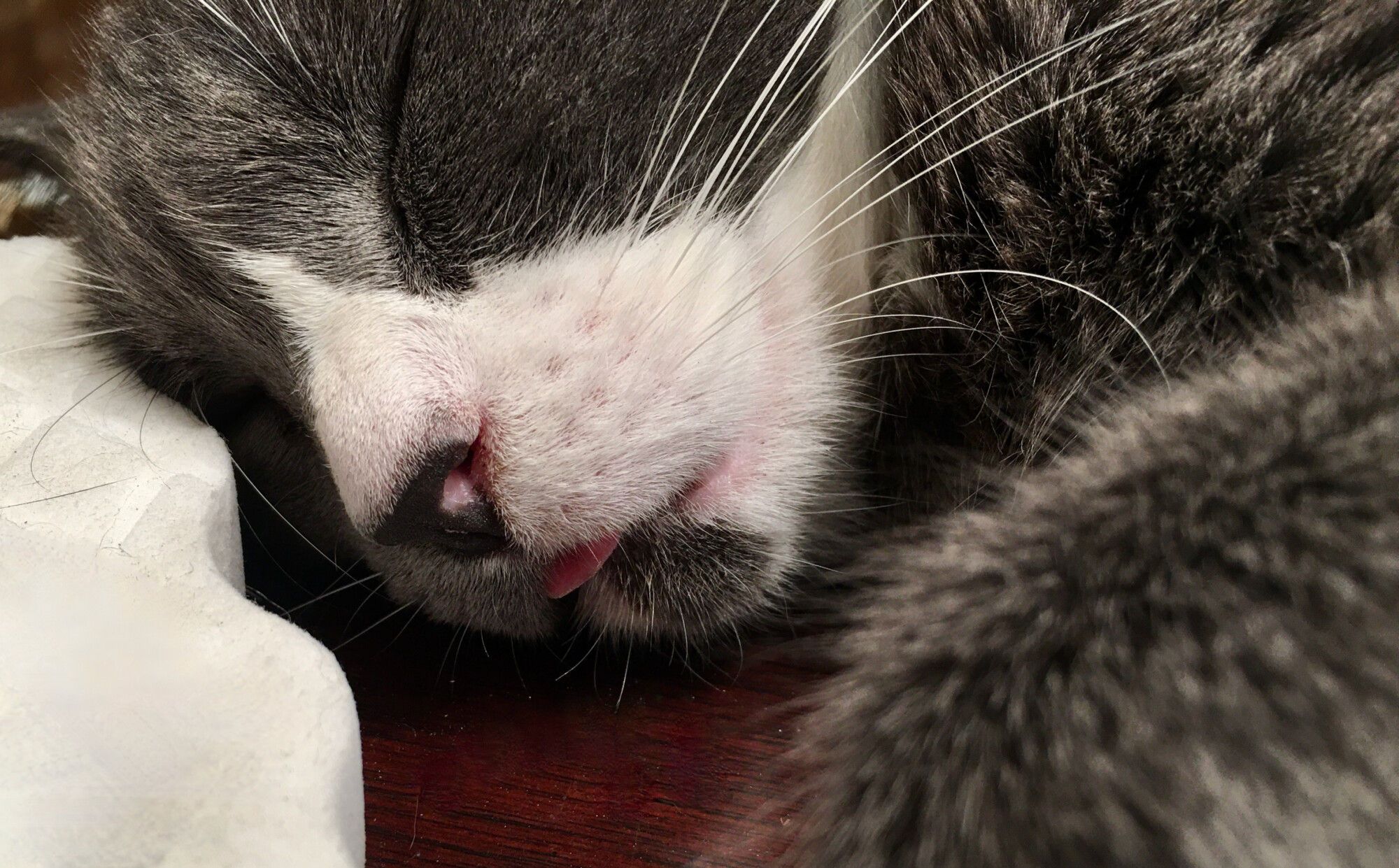 A pink Gray – Restoring Ross