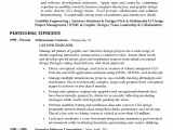 Software Developer Resume Example