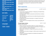 14 Angular Developer Resume Examples And Templates For 2025 Best Tips